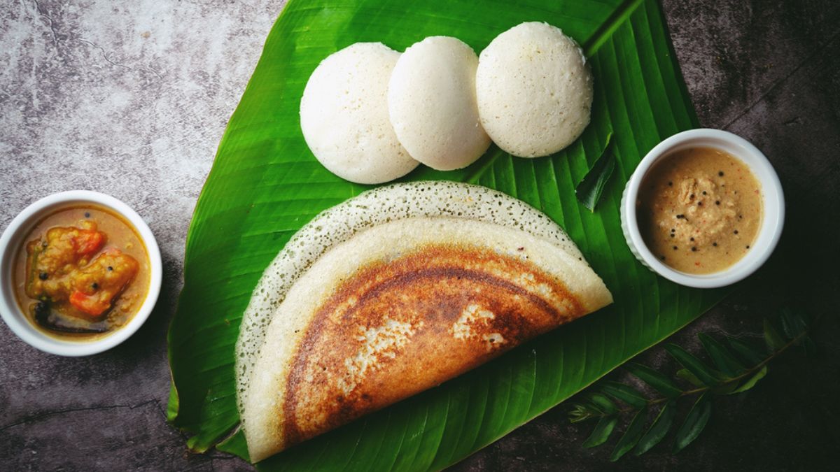 Idli and Dosa: The Breakfast of Champions in South India – alcofoods